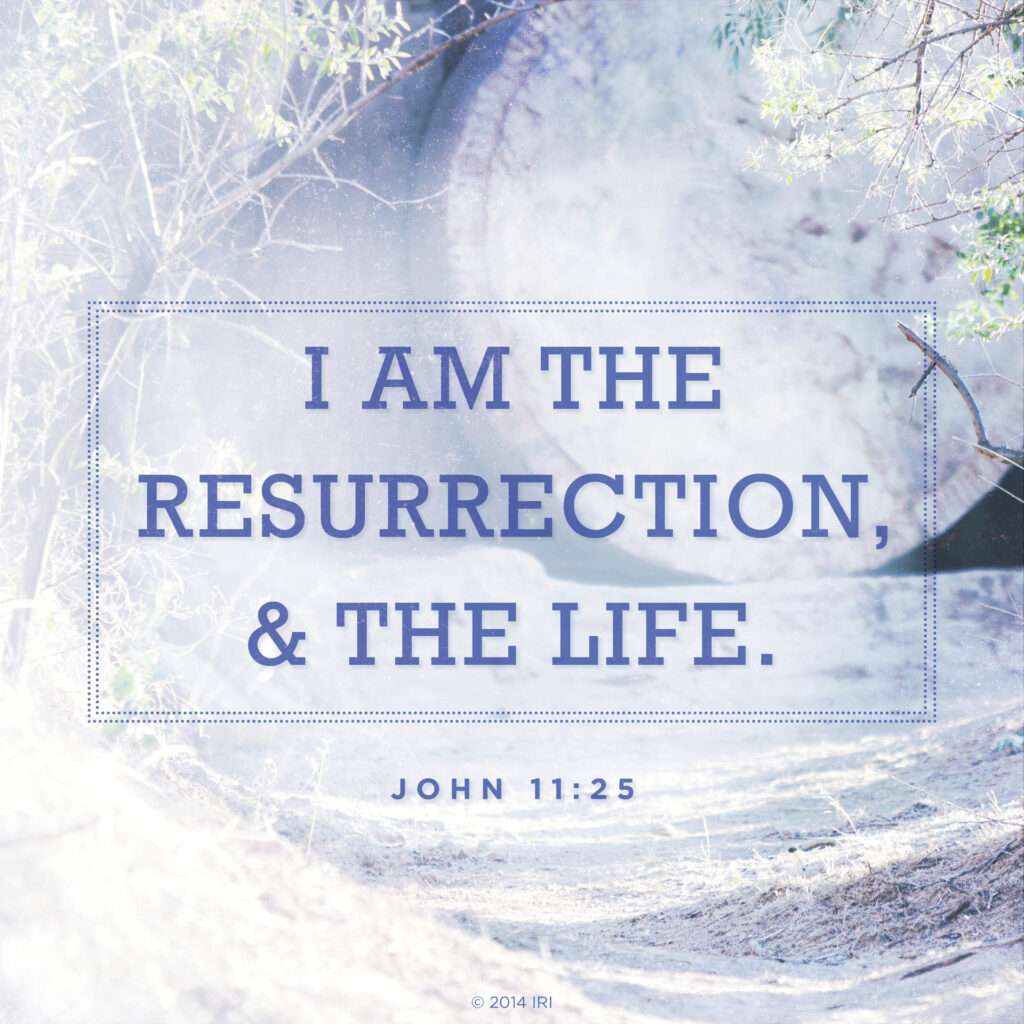 Luke 12–17; John 11 - Teaching Children the Gospel