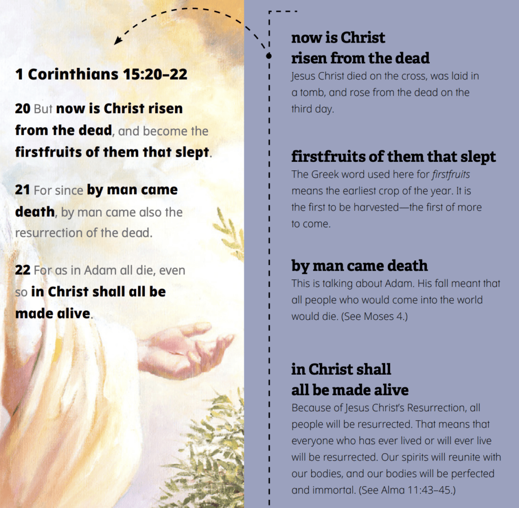 1 Corinthians 14–16 | Teaching Children the Gospel